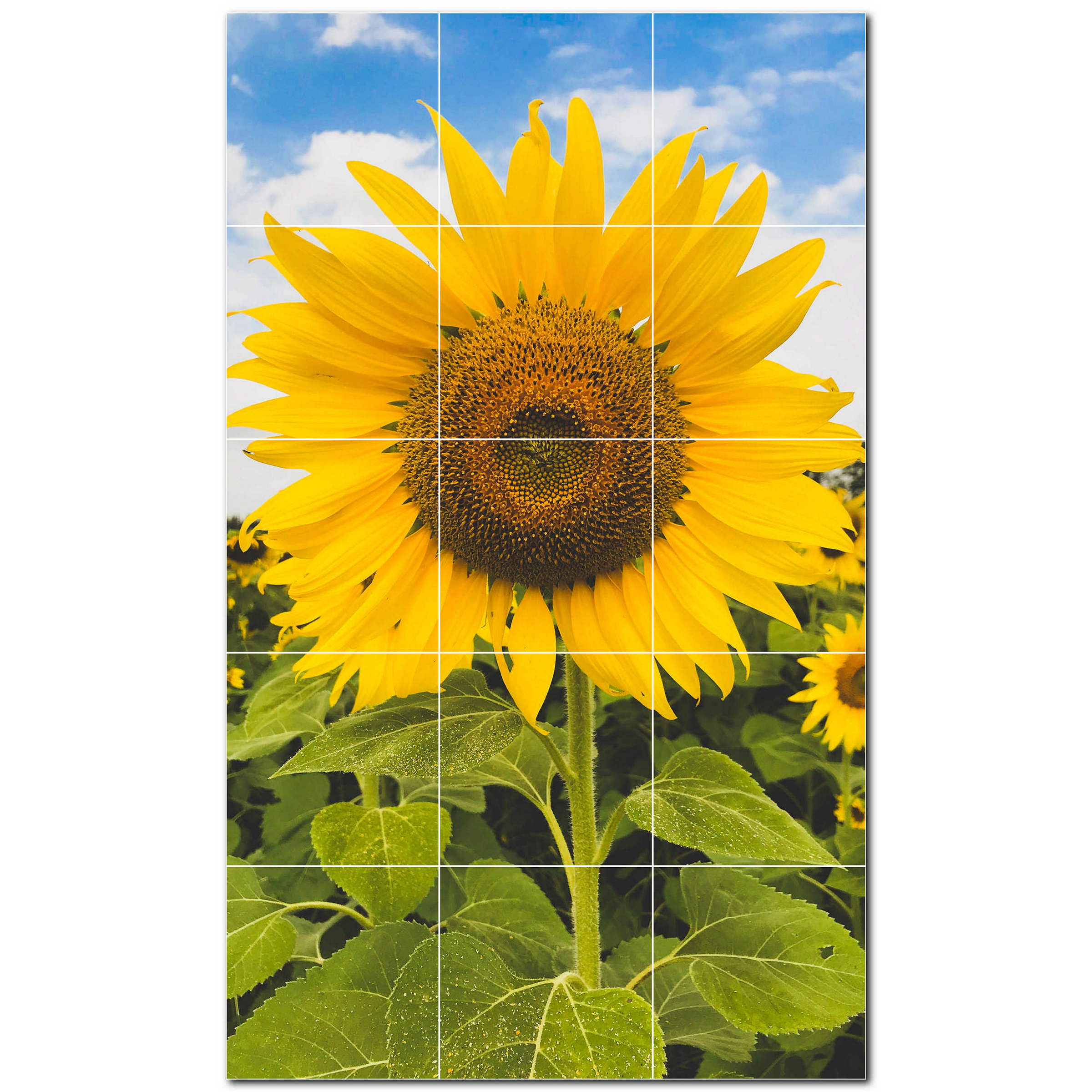 Picture-Tiles.com 32" x 40" Ceramic Farm Photo Decorative Mural Tile ...