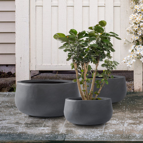 Wayfair | Medium Pot Planters & Flowers You'll Love in 2023