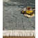 Dakota Fields Aiman Flatweave Geometric Rug | Wayfair