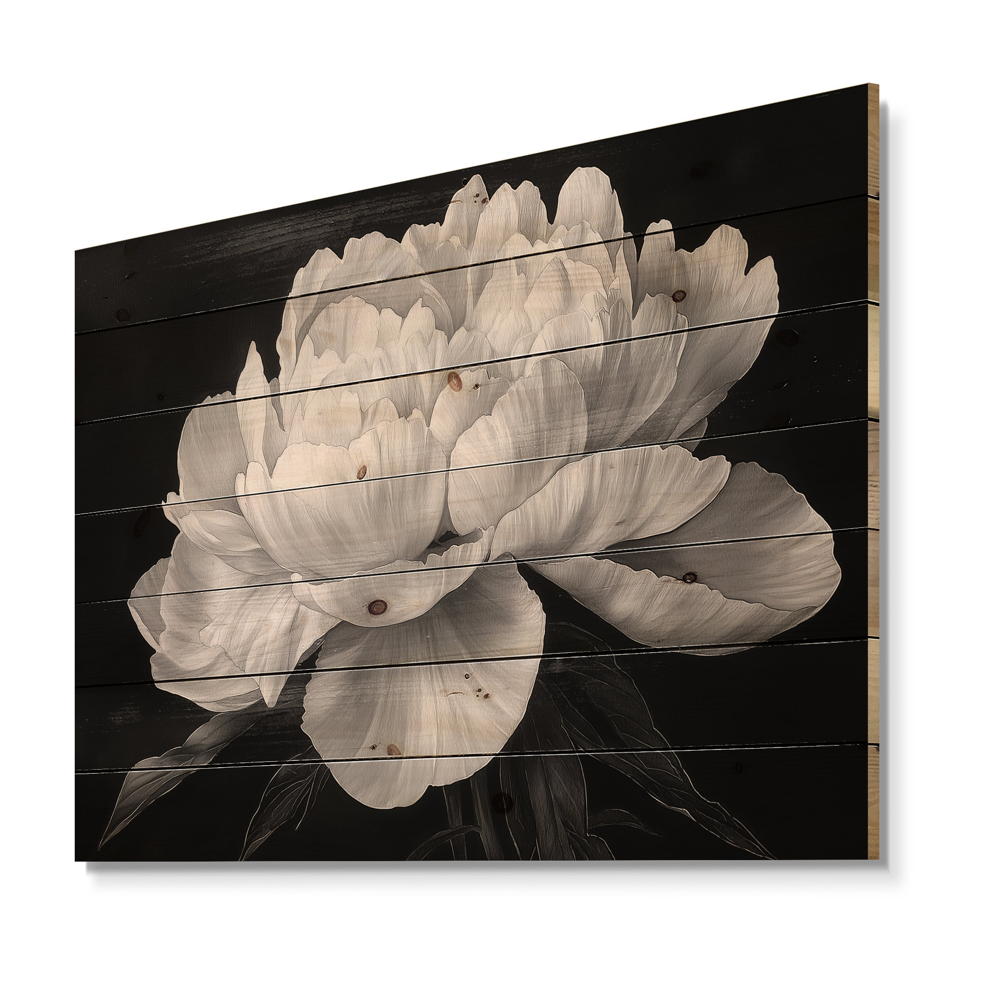 Ophelia & Co. White And Black Peony Elegance I - Peonies Wood Wall Decor - On Natural Pine Wood ...