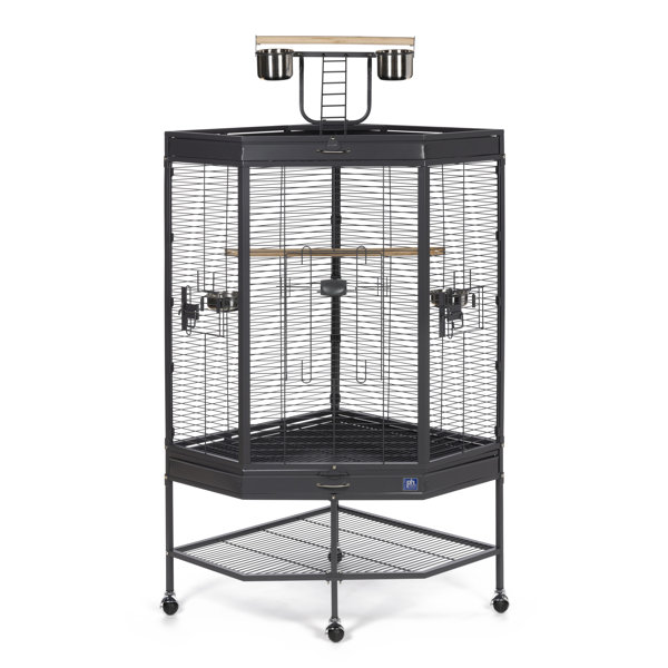 Prevue Hendryx Corner Bird Cage & Reviews | Wayfair