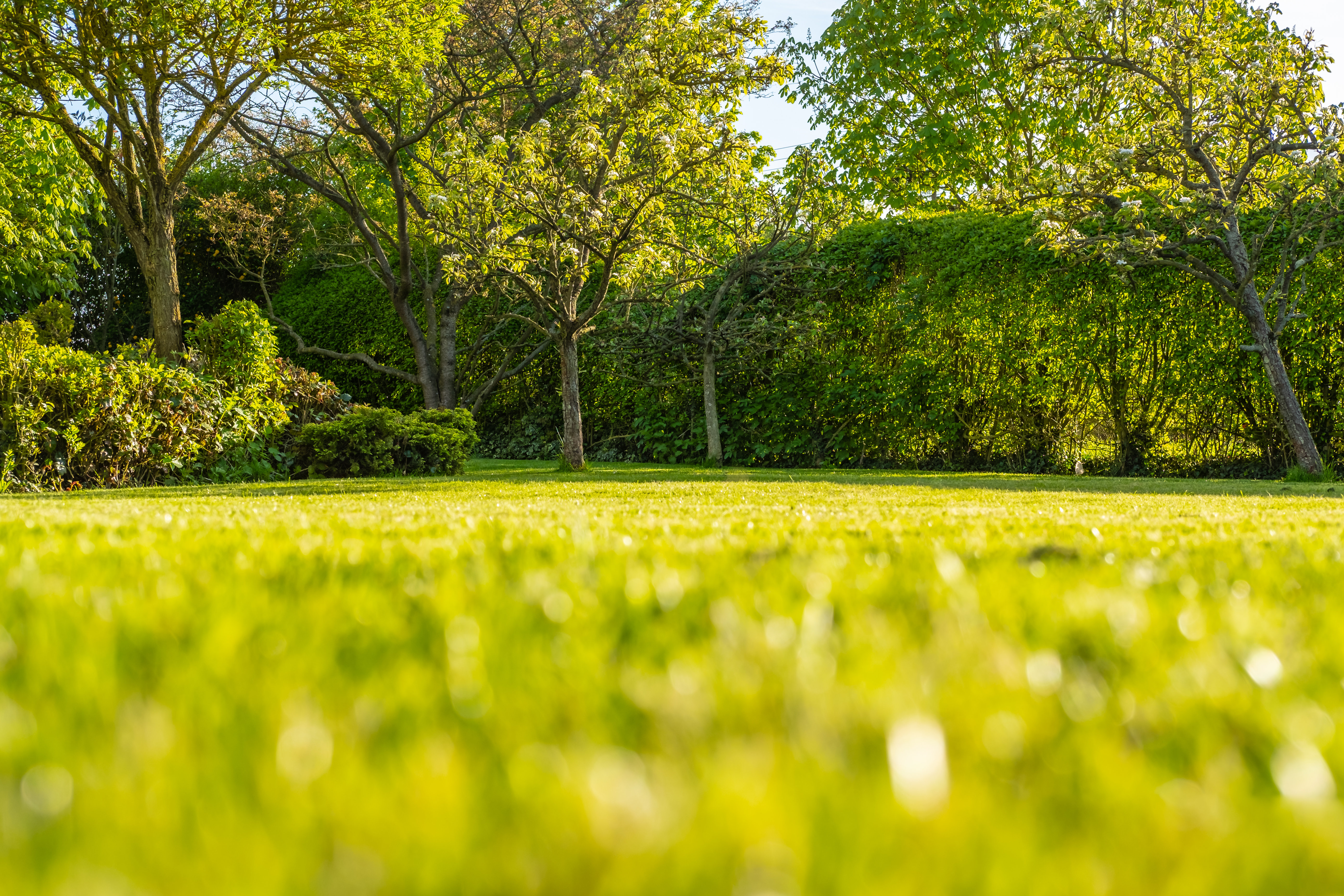 Ebern Designs Well-Kept Garden - Wrapped Canvas Photograph | Wayfair