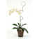 Distinctive Designs Polysilk Orchid Arrangement in Pot | Wayfair