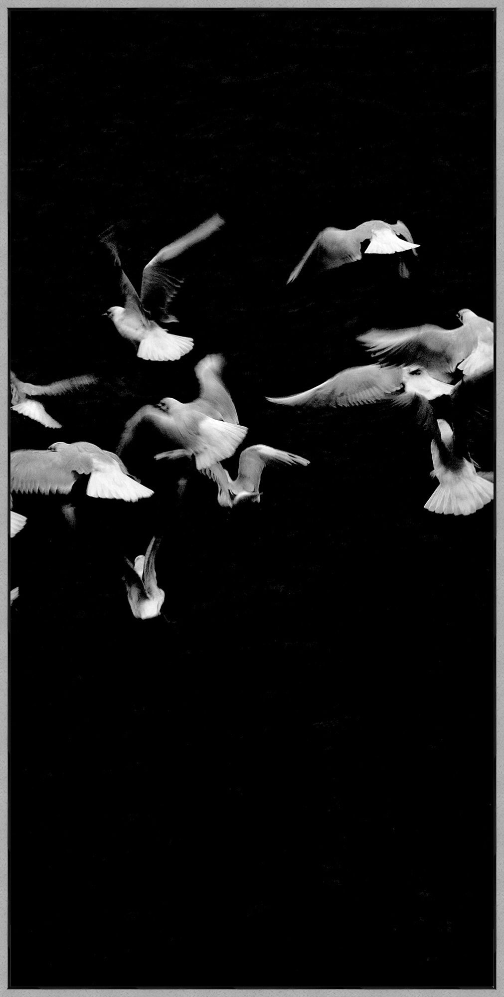 Wendover Art Group Fly Together 2 by Thom Filicia - Floater Frame ...