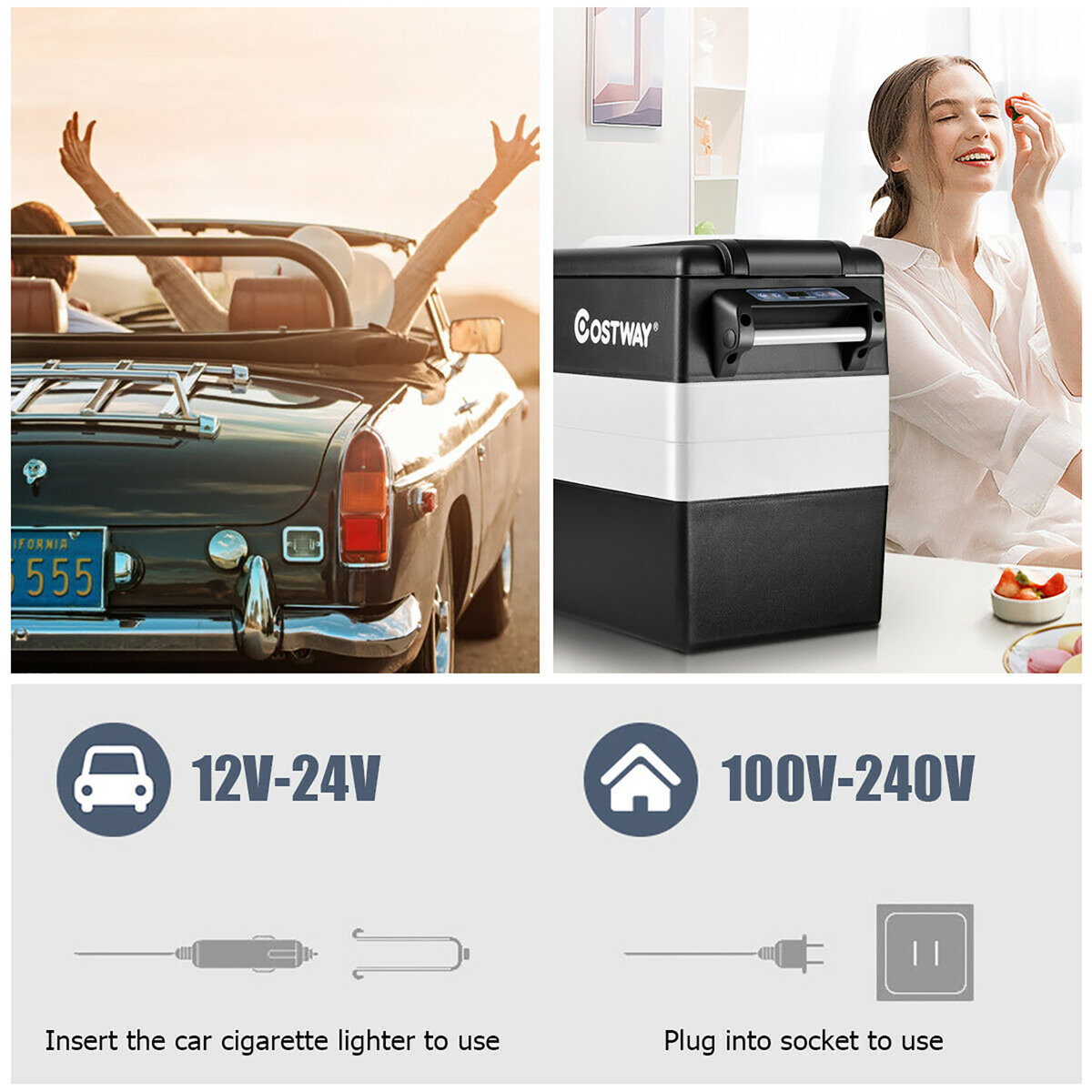 Costway 55 Qt. Portable Car Cooler & Reviews | Wayfair