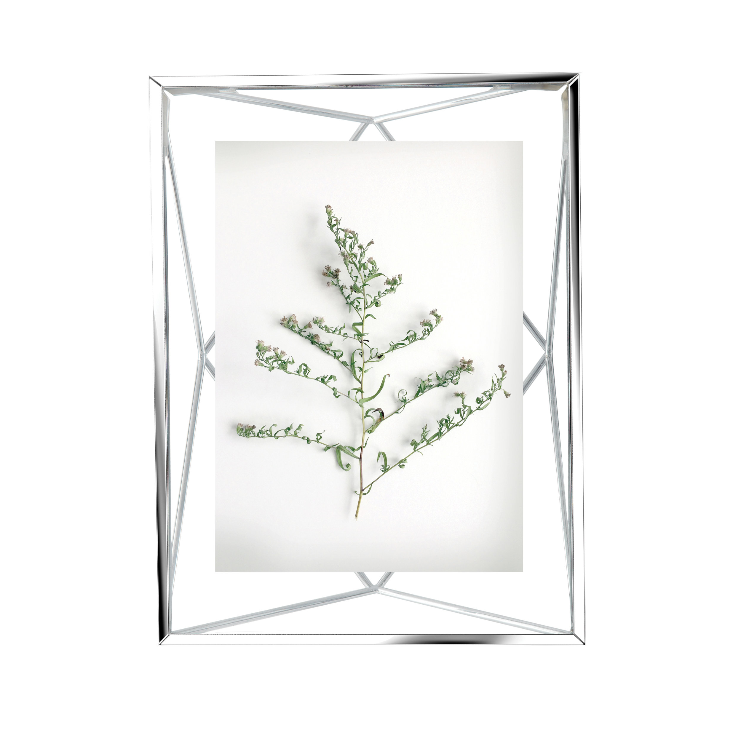 Wrought Studio Topawa Brass Wire Picture Frame & Reviews - Wayfair Canada