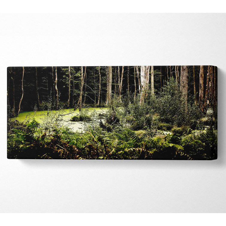 Union Rustic Swamp In The Depth Of The Forest - Wrapped Canvas Art ...