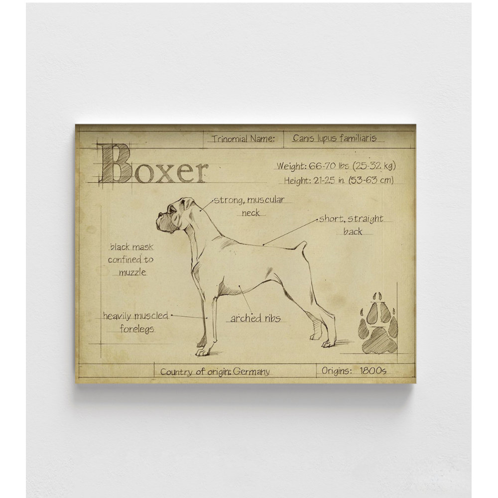 WeFrameArt Antique Boxer (ASH) By Ethan Harper, Boxer Dad Birthday Gift ...