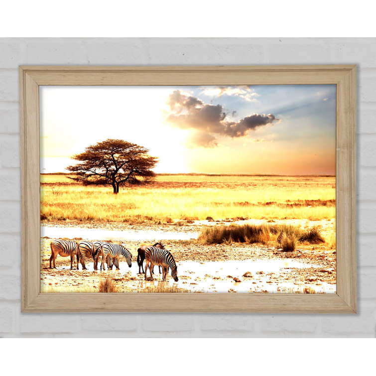 Ophelia & Co. Herd Of Zebras - Single Picture Frame Art Prints ...