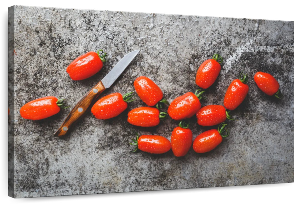 Ebern Designs Yarlin Succulent Tomatoes | Wayfair