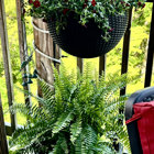 Suncast Planter & Reviews | Wayfair