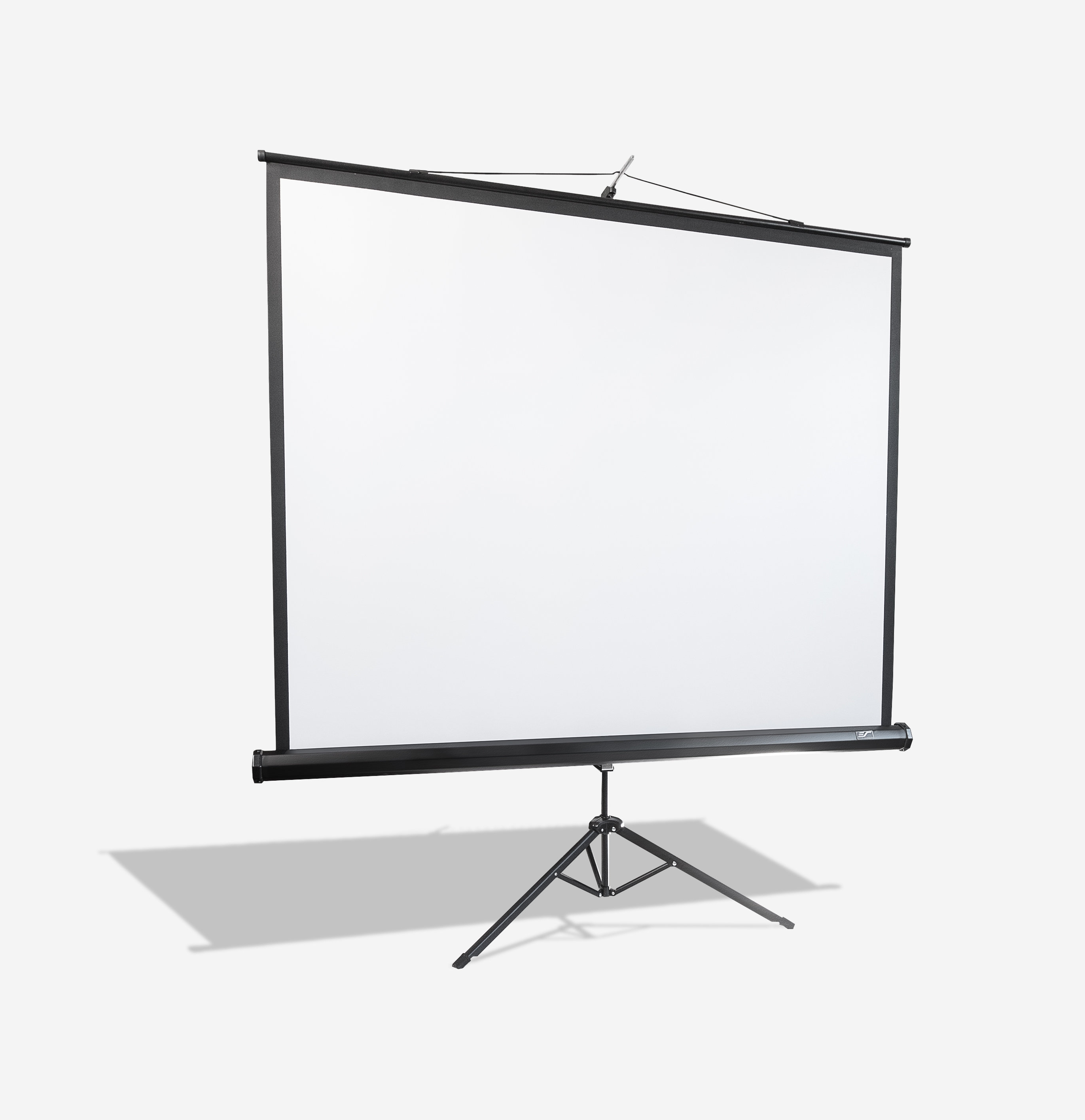 Elite Screens Tripod B White Portable Projector Screen & Reviews | Wayfair