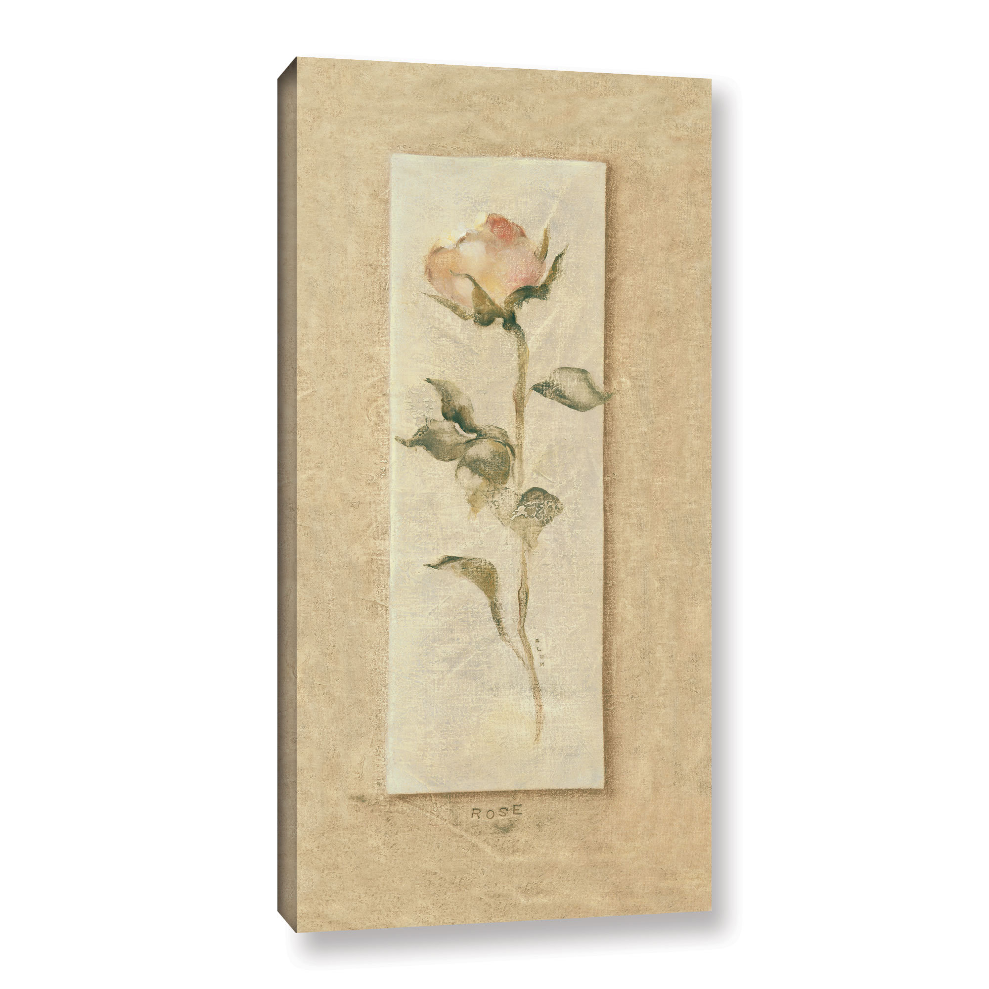 Ophelia & Co. 'Rose Panel' Painting Print on Wrapped Canvas - Wayfair ...