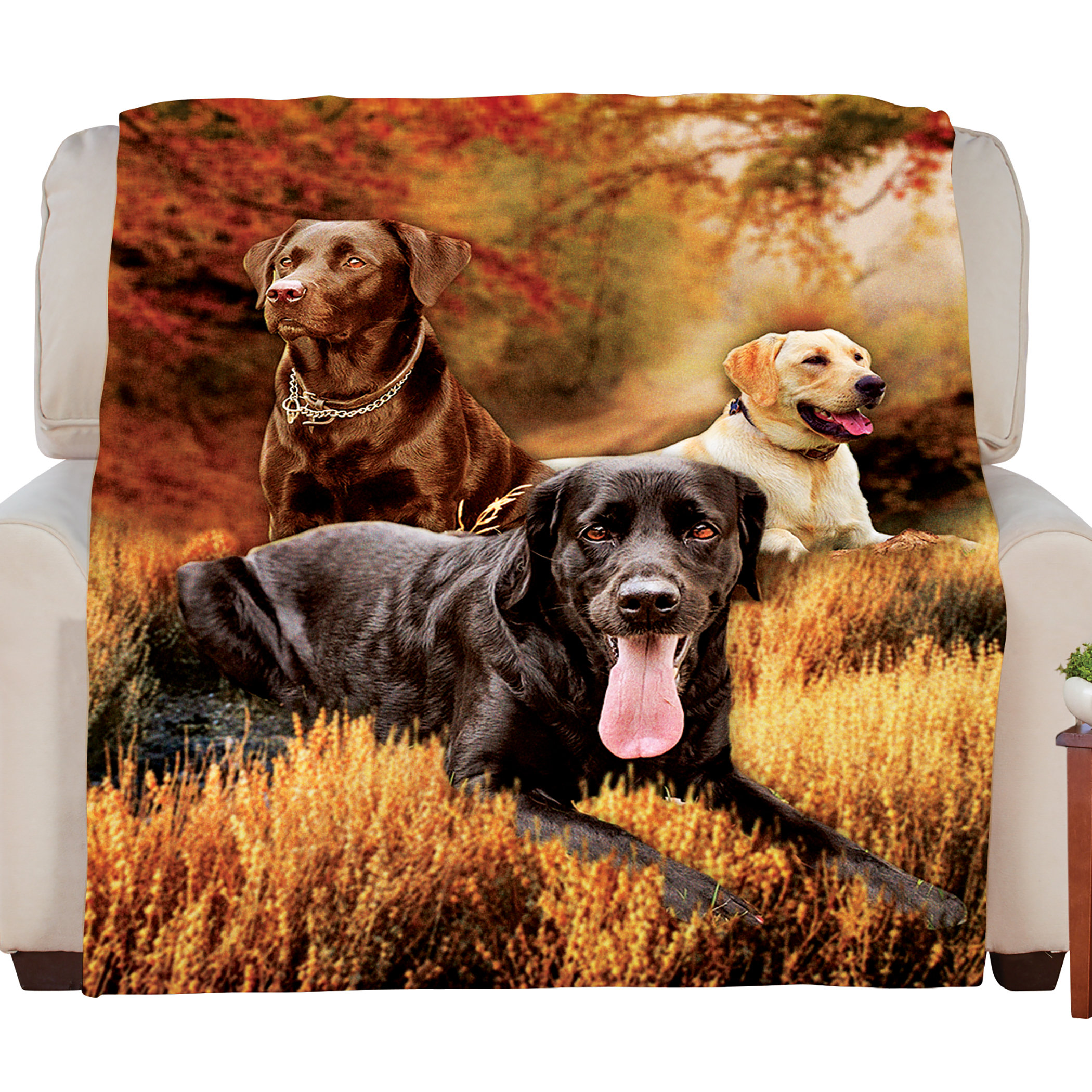 Winston Brands Realistic Dog Breed Cozy Throw | Wayfair