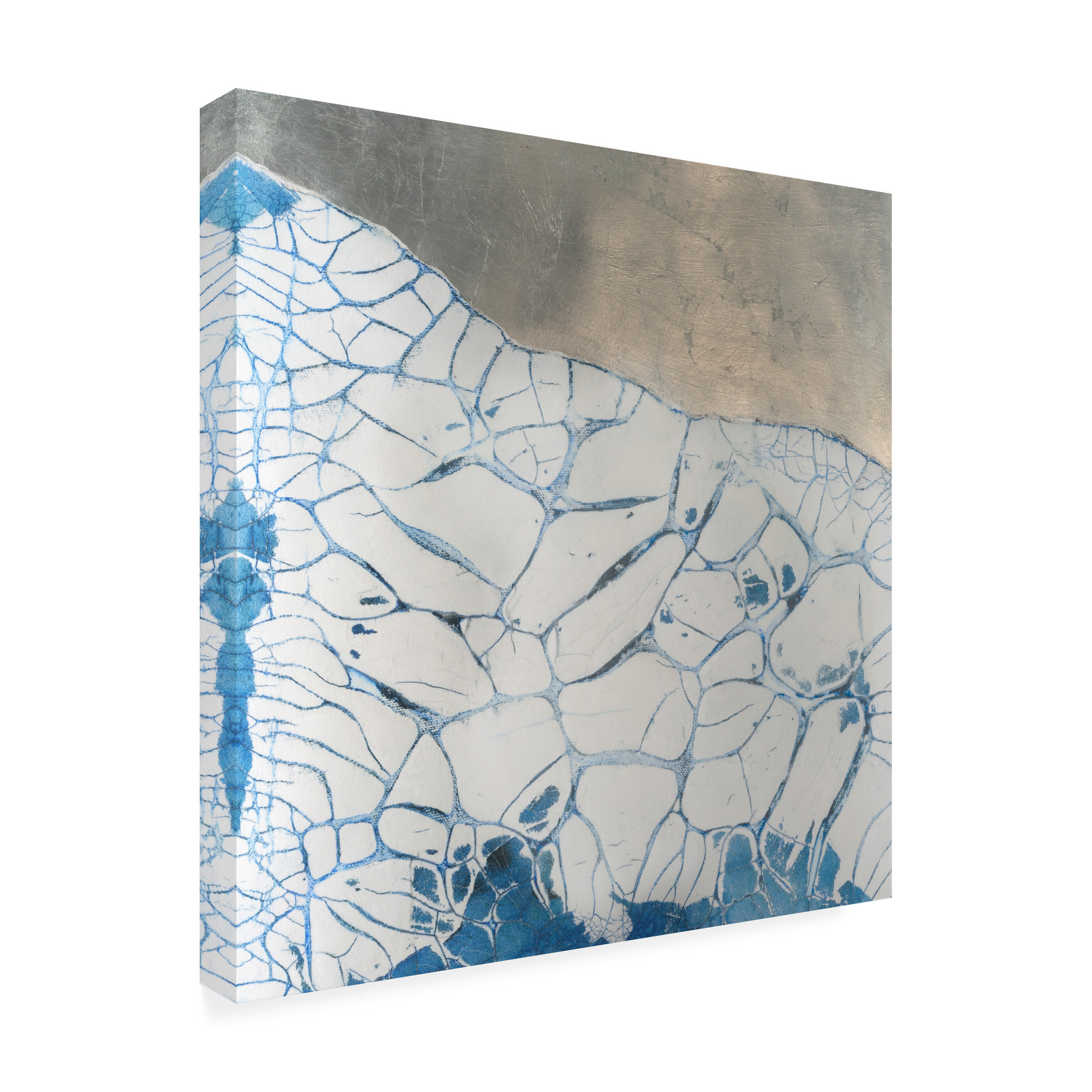 Trademark Fine Art Vanna Lam Scree Summit II Canvas Art - Wayfair Canada