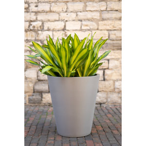 Veradek Planters You'll Love | Wayfair