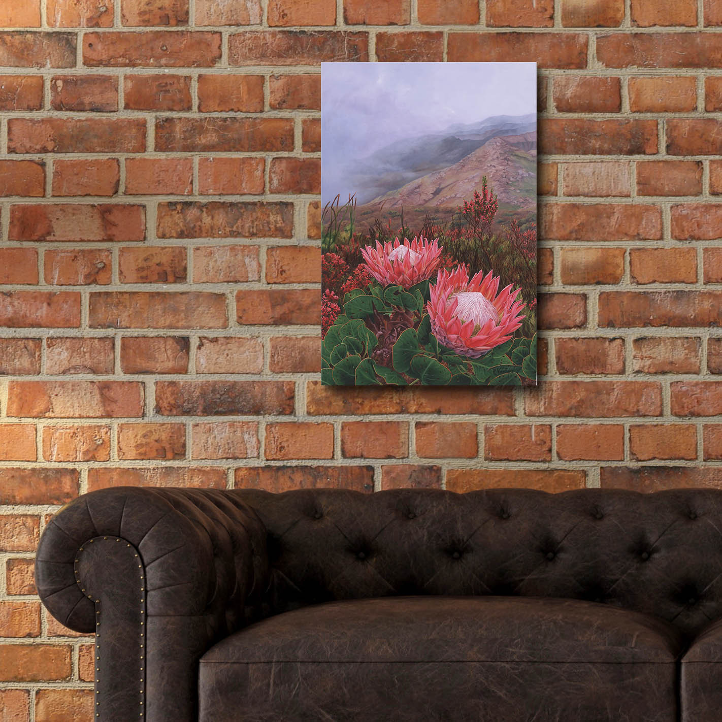 Winston Porter 'In The Eye Of The Beholder Proteas' by Delene Lambert ...