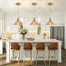 House of Hampton® 1-Light Modern Flower Glass Pendant Lights Kitchen ...
