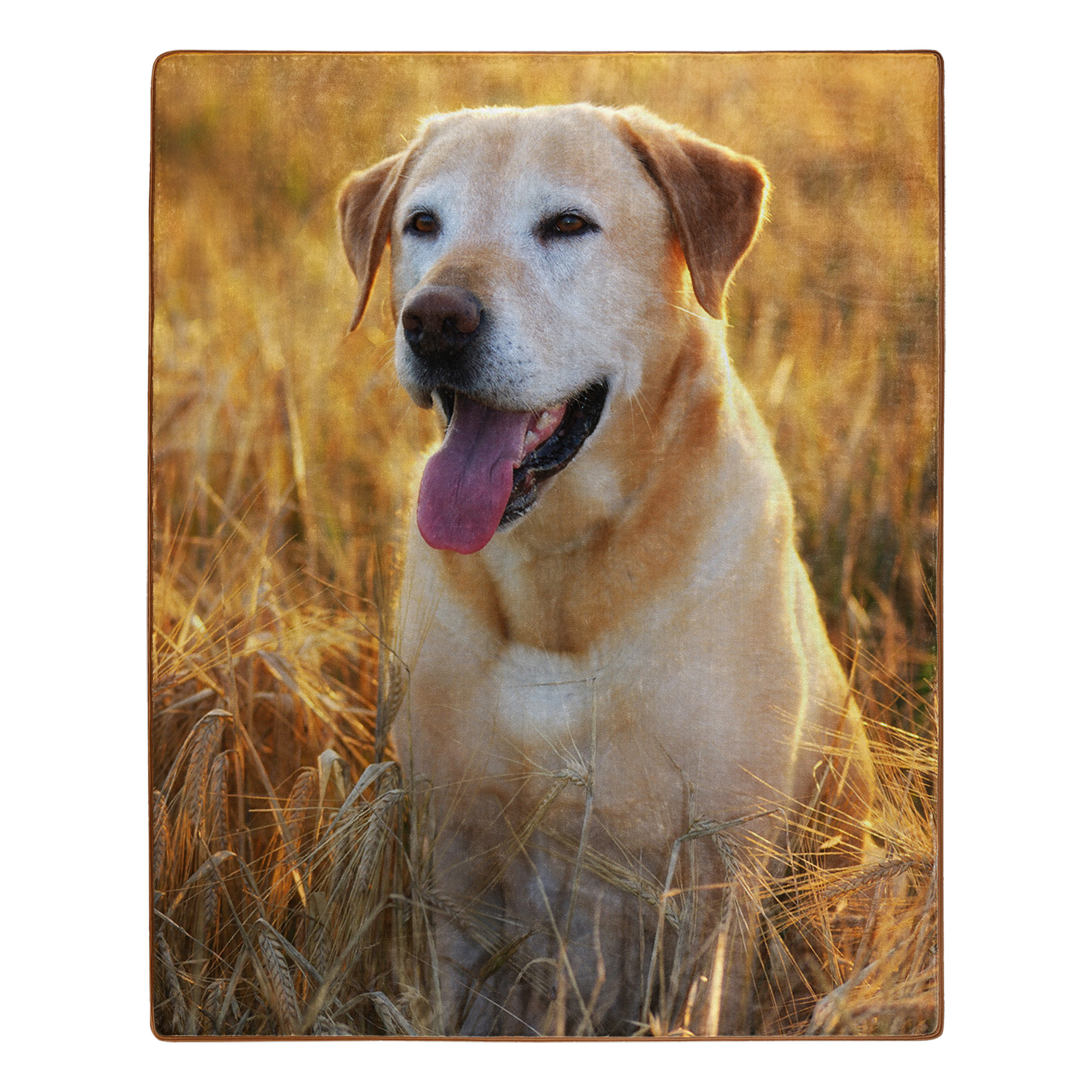 Northwest Magic Hour Yellow Lab Raschel Throw Blanket, 50 x 60 inches ...