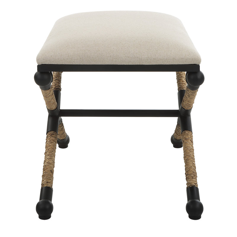 Birch Lane™ Chorio Iron Accent Stool & Reviews | Wayfair