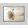 Bright Star Lonesome Swan - Single Picture Frame Print on Canvas ...