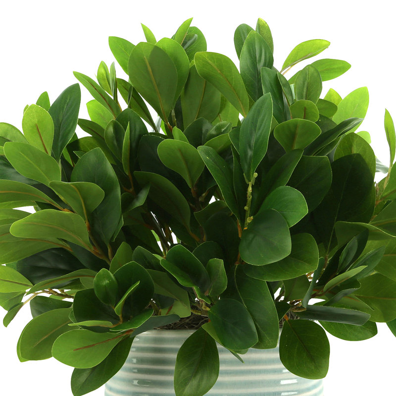 Primrue 20'' Faux Peperomia Bush Plant in Ceramic Pot | Wayfair