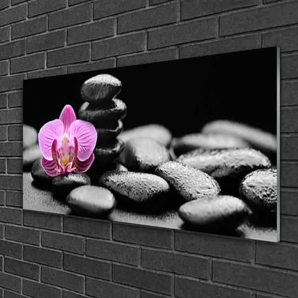 Brayden Studio Art Flower Stones - No Frame Print on Glass | Wayfair.ie