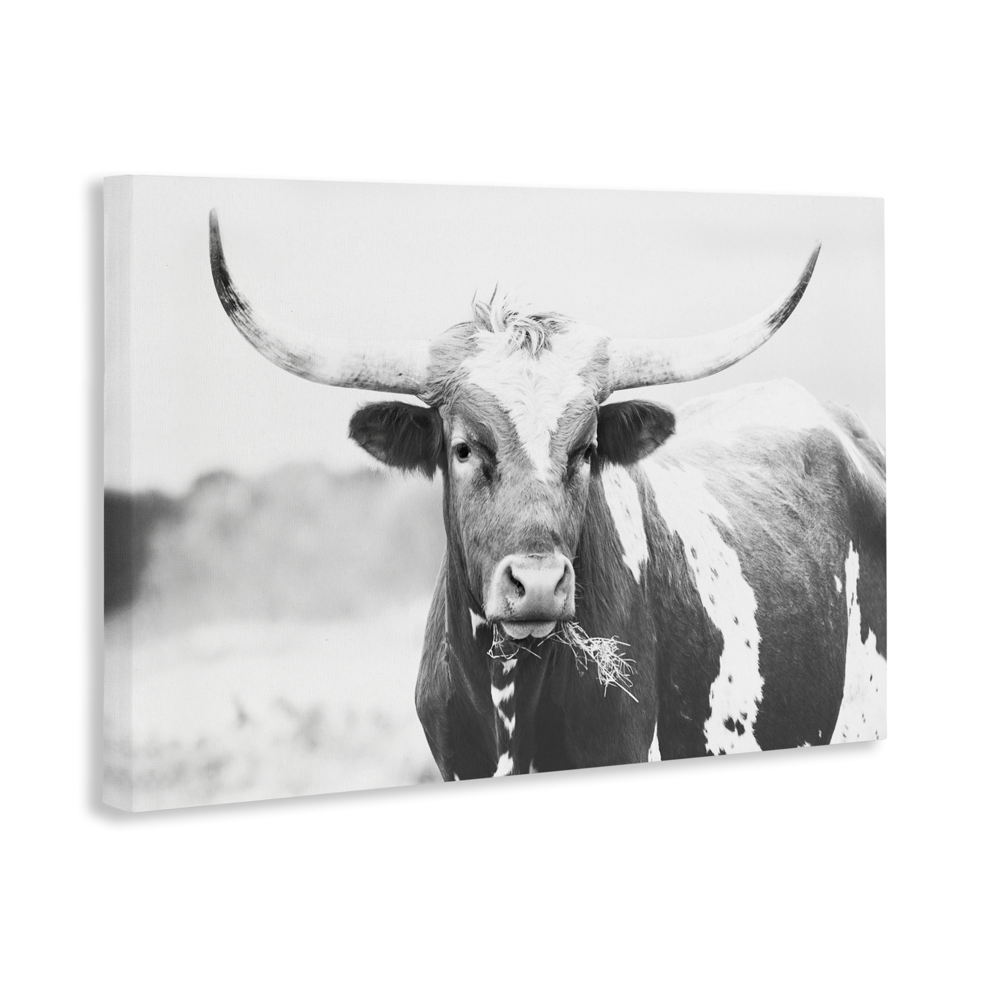 Ophelia & Co. Two Tone Longhorn Portrait Canvas, design by Sisi and Seb ...