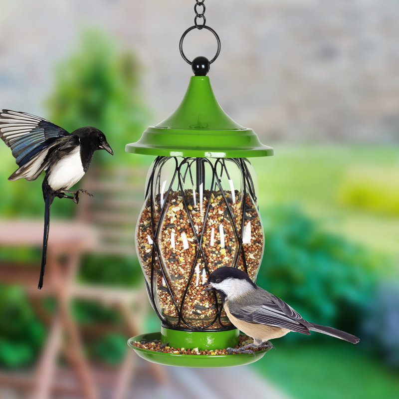 Exhart Wire Bird Feeder, 6.5 by 13.5 Inches | Wayfair