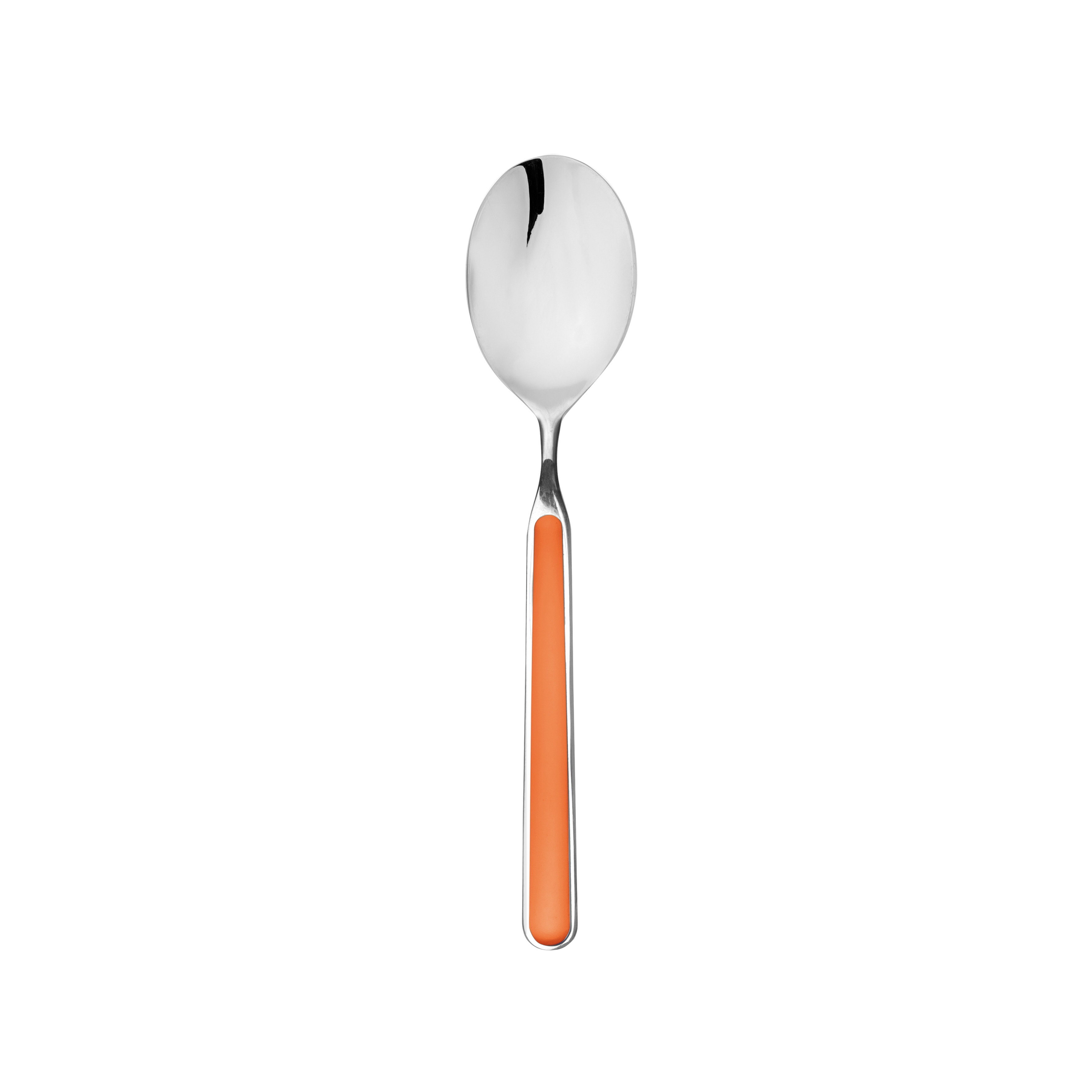 MEPRA Fantasia Table Spoon - 48 Pieces - Wayfair Canada