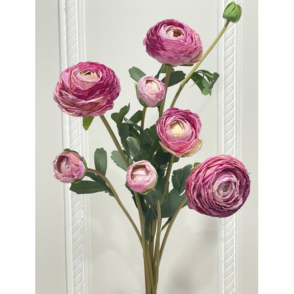 Primrue Silk Ranunculus Arrangement | Wayfair