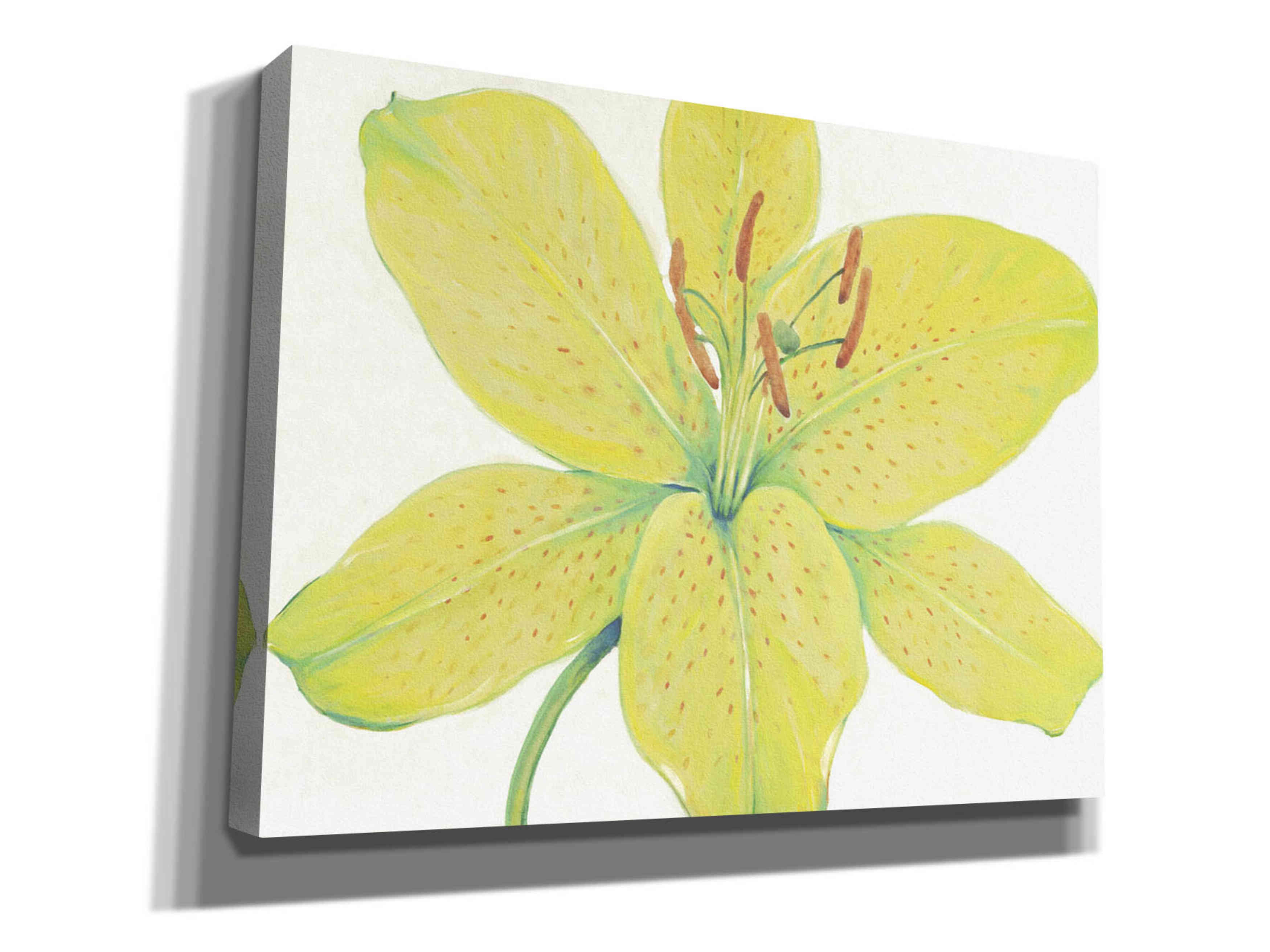 Red Barrel Studio® Citron Tiger Lily I' By Tim O'toole, Canvas Wall Art ...