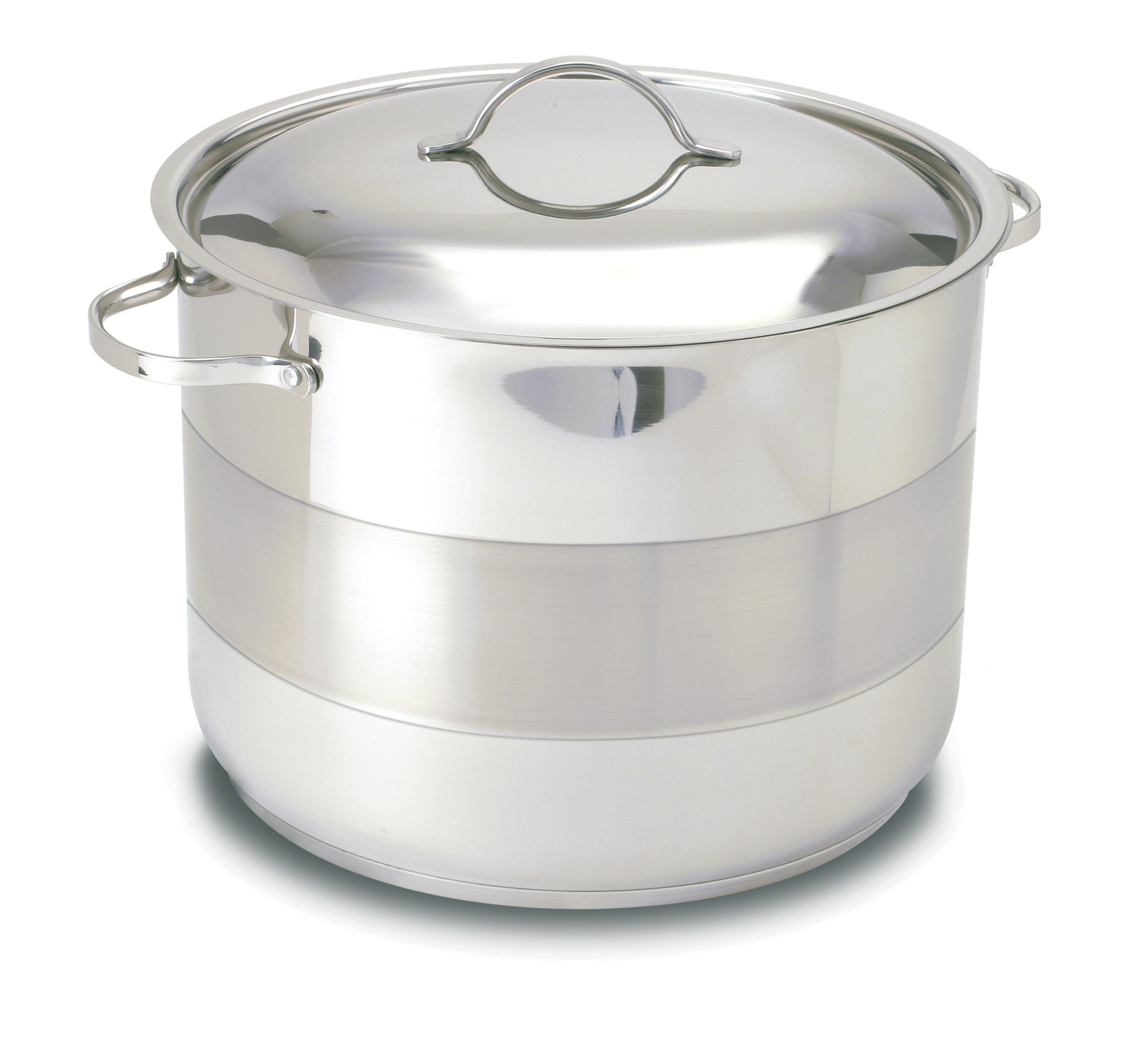 Cuisinox Gourmet Stock Pot with Lid & Reviews - Wayfair Canada