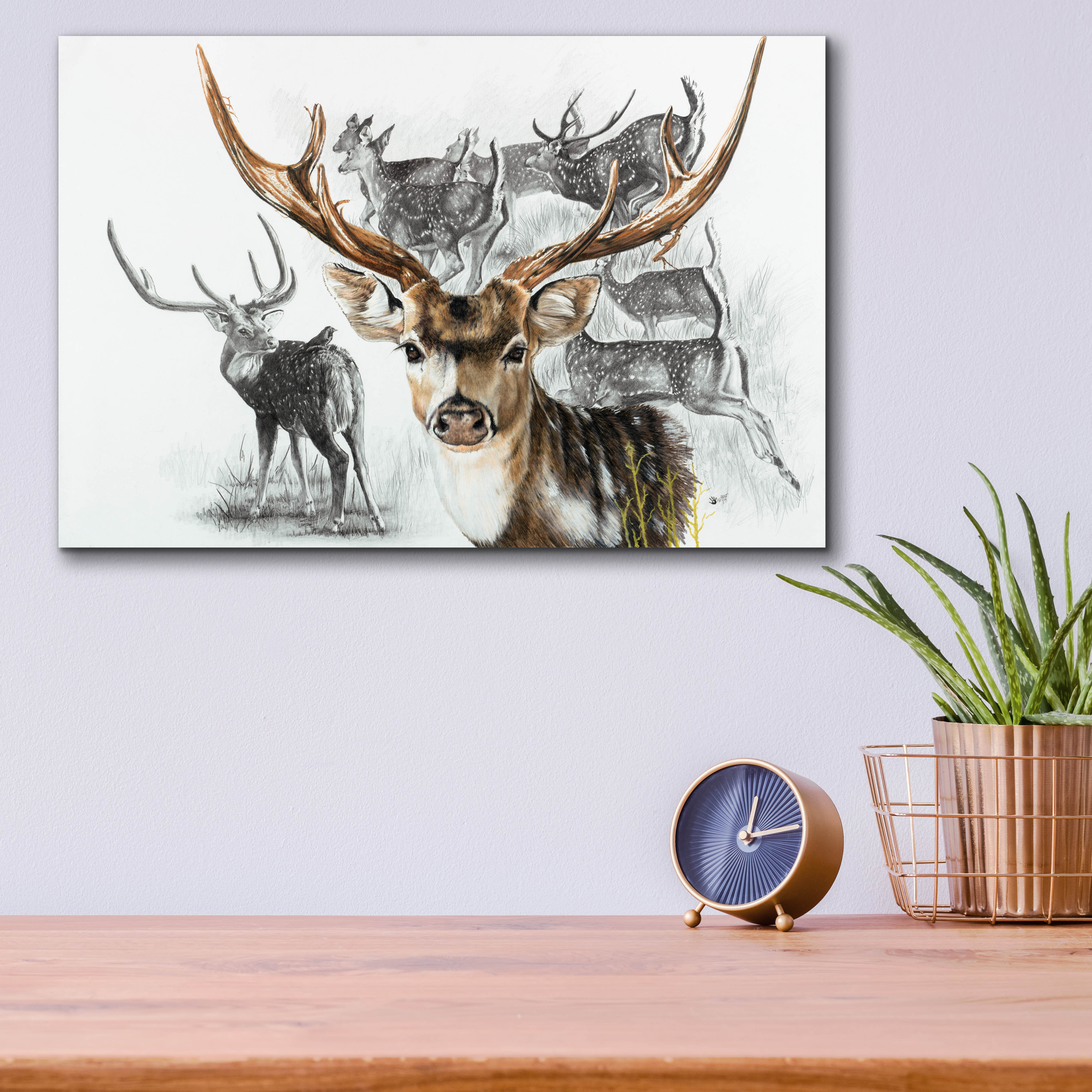 August Grove Axis Deer by Barbara Keith - Unframed Print - Wayfair Canada