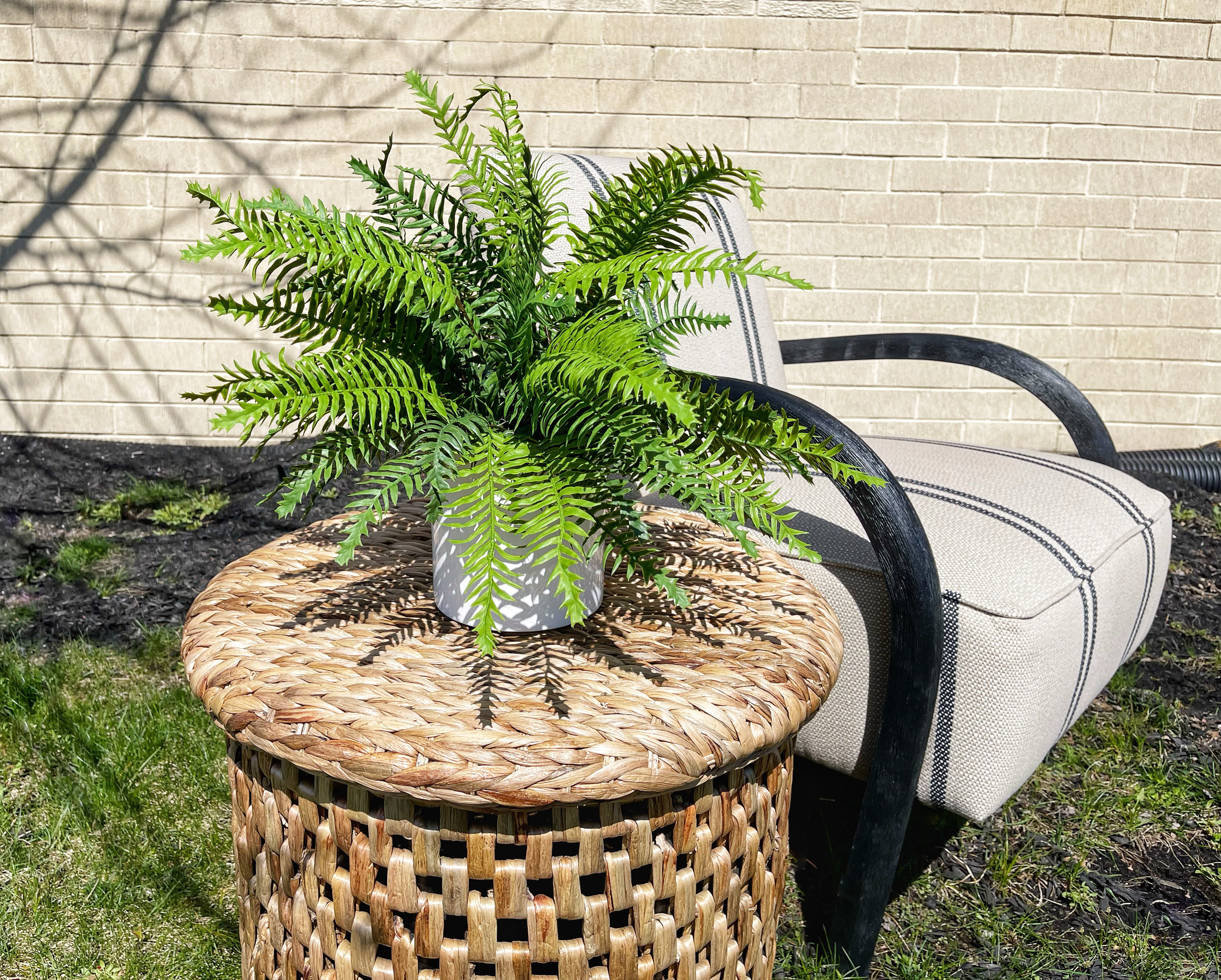 Primrue Kenley UV Rated Outdoor Fern in Fiberstone Pot & Reviews | Wayfair
