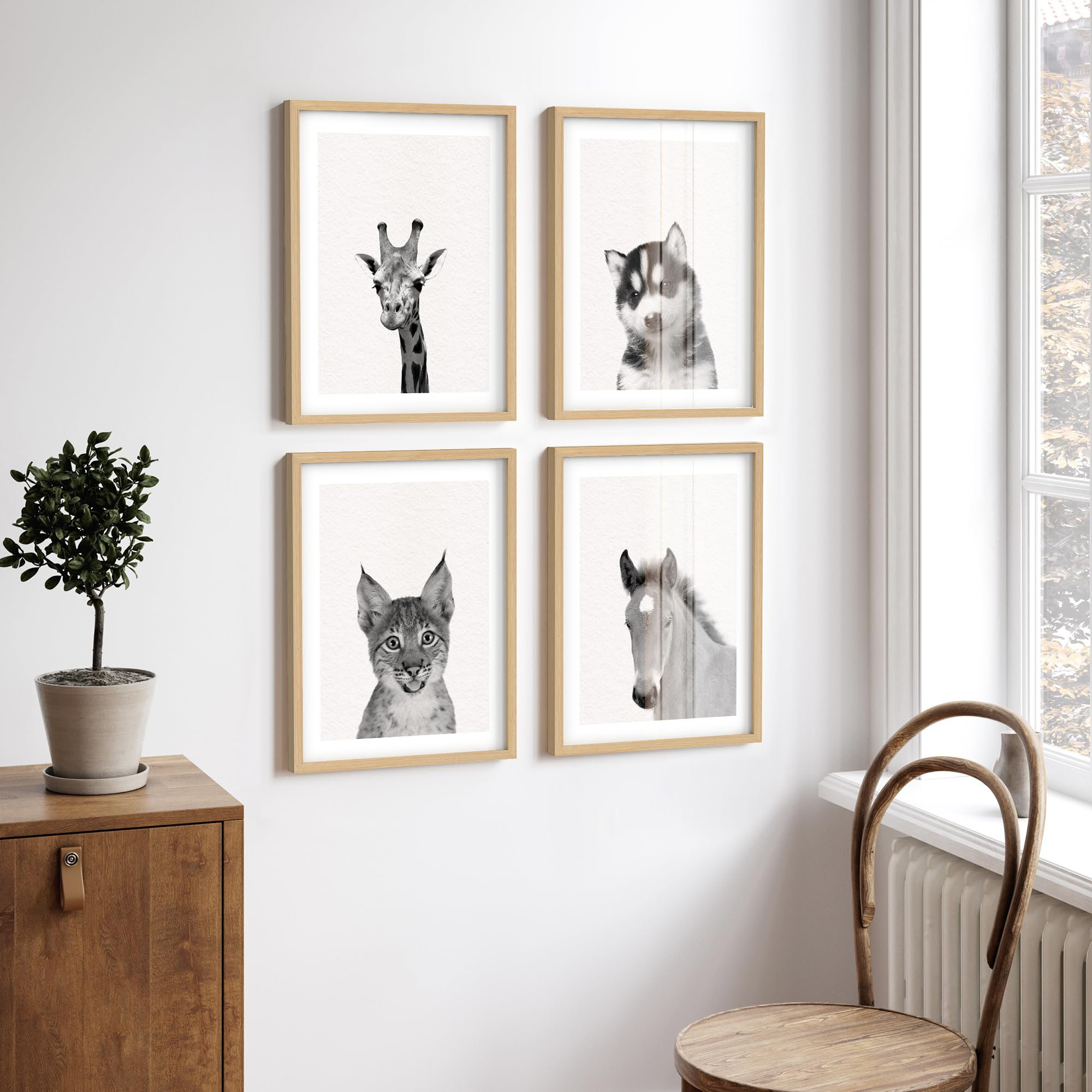 SIGNLEADER " Black And White Animal Portraits Giraffe Husky Lynx And ...