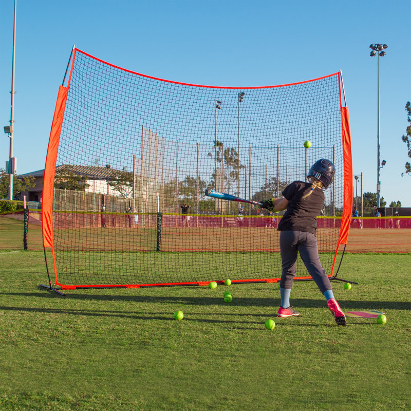 GoSports 12' x 9' Portable Sports Barrier Net & Reviews | Wayfair