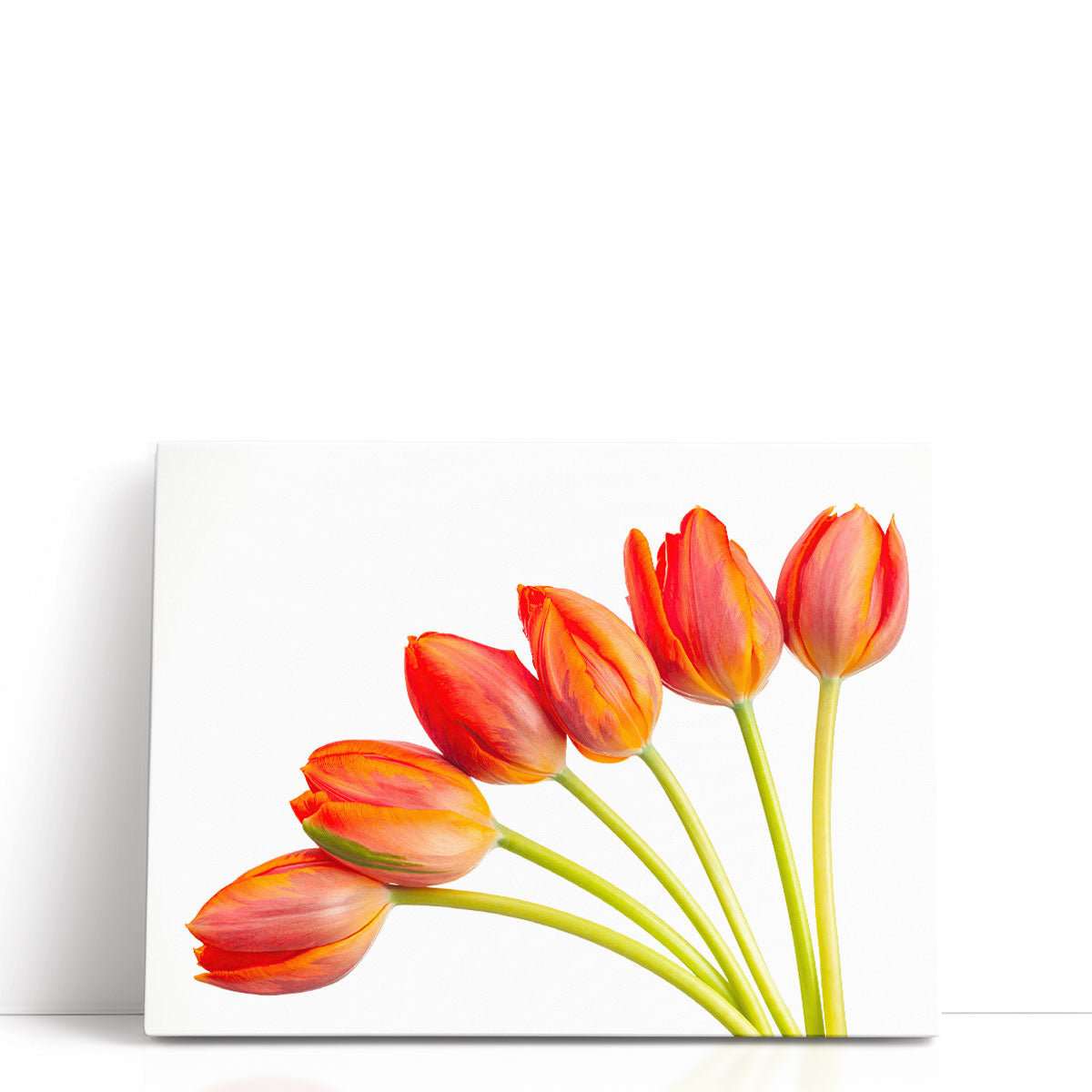 Latitude Run® Tulip Flowers in Fan Shape arrangement | Wayfair