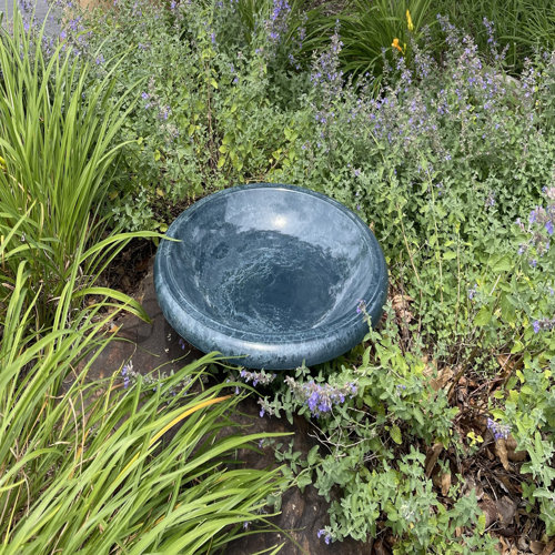 Bowl Only Bird Baths You'll Love | Wayfair