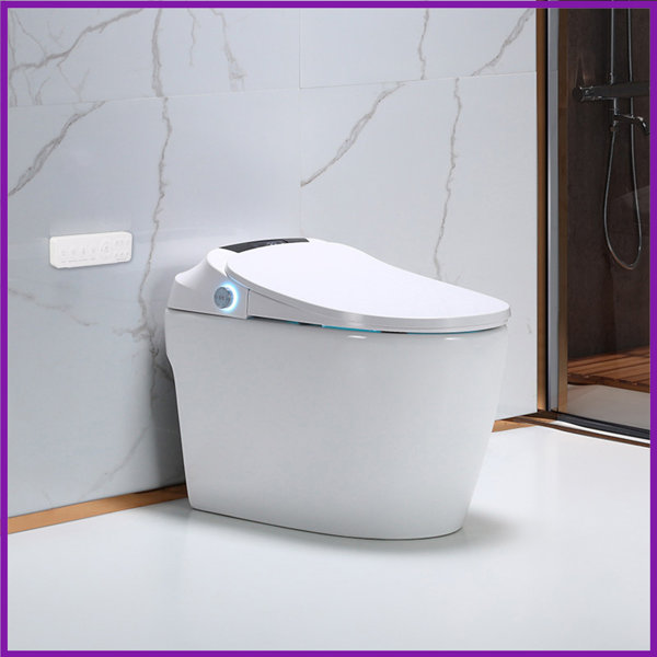 Wing 1.05 GPF Elongated Floor Mounted One-Piece Toilet (Seat Included ...