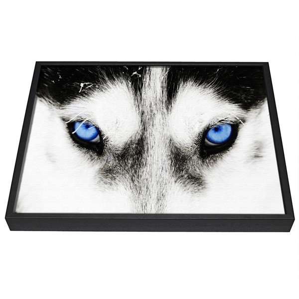 Ebern Designs Husky Dog Blues - Single Picture Frame Art Prints on ...