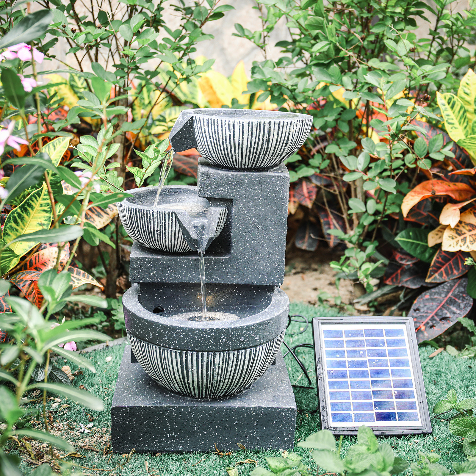 Hashtag Home Coffield Resin Solar Fountain with LED Light & Reviews ...