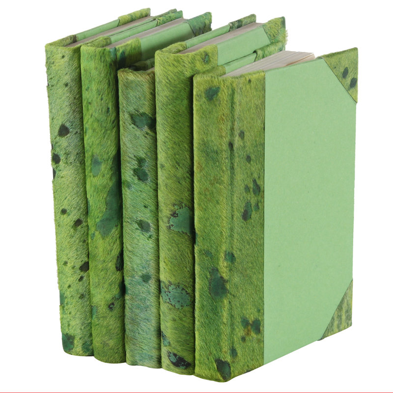 Leather Books 5 Piece Hide Metallic Decorative Book Set | Perigold