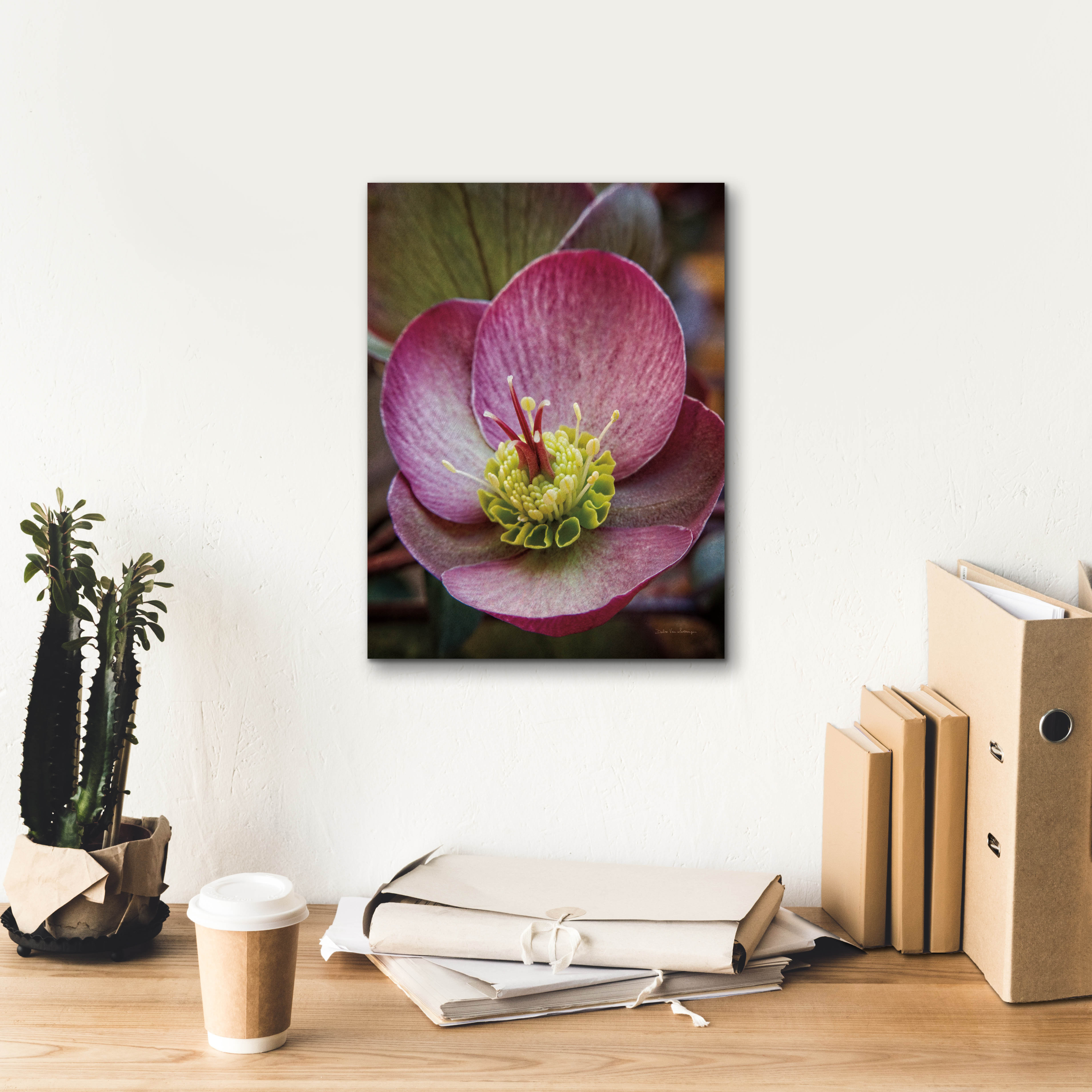 Ebern Designs «Lenton Rose IV» par Debra Van Swearingen, art mural sur ...