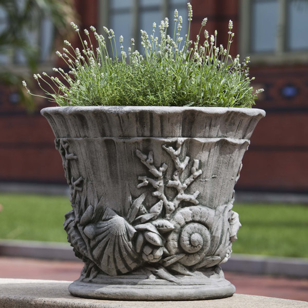 Campania International, Inc Smithsonian Cast Stone Pot Planter ...