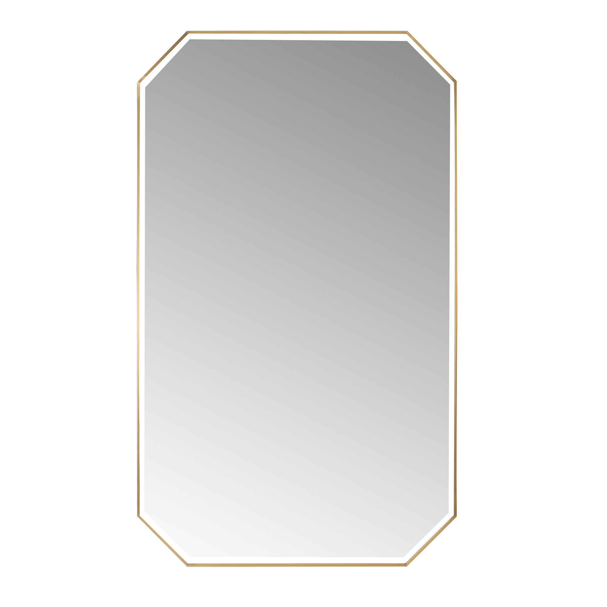 Latitude Run® Sabadell Octagon Stainless Steel Wall Mirror | Wayfair