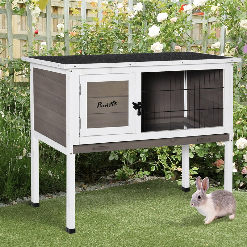 Tucker Murphy Pet™ Thane Small Animal Hutch with Ramp & Reviews | Wayfair