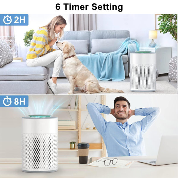 ColorLife Air Purifier with HEPA Filter | Wayfair