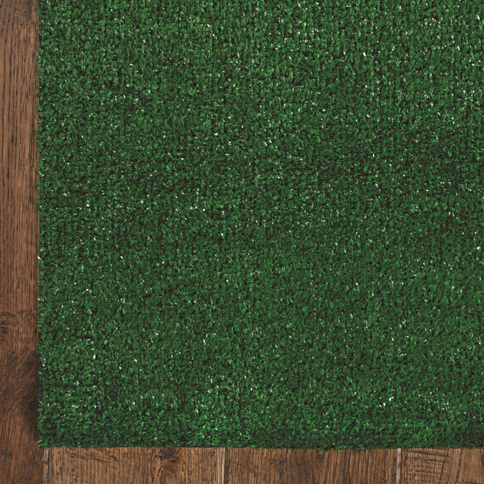 Nance Industries Green Grass 6x8 Turf Area Rug & Reviews | Wayfair