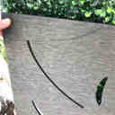 Modinex 3 ft. x 6 ft. Wall Composite Privacy Screen & Reviews | Wayfair